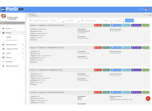 PleGlex Software para abogados, gestión de procesos jurídicos